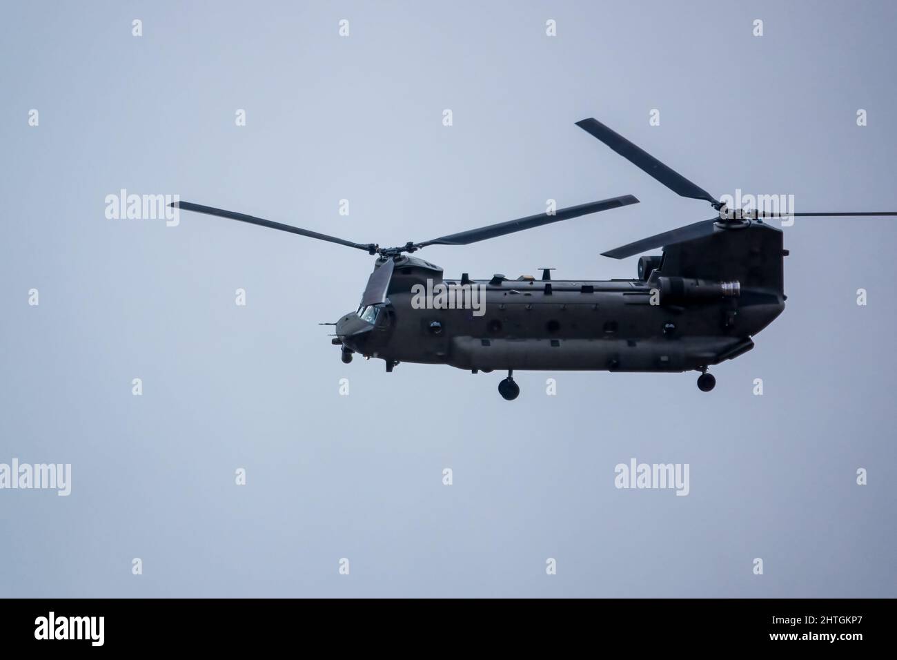 RAF Chinook tandem-rotor CH-47 helicopter flying fast and low in a ...