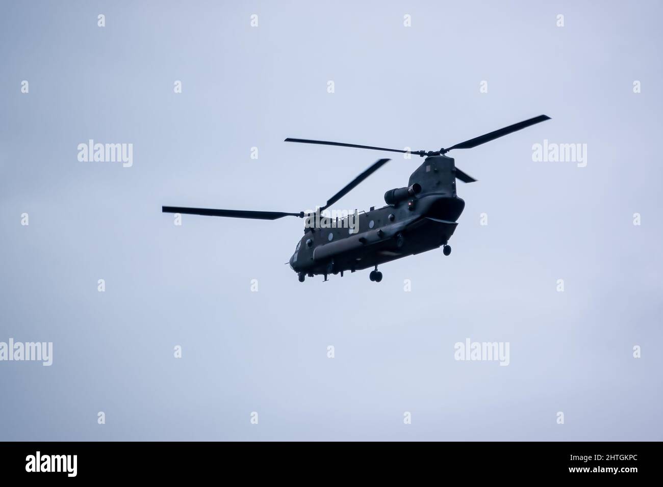 RAF Chinook tandem-rotor CH-47 helicopter flying fast and low in a ...