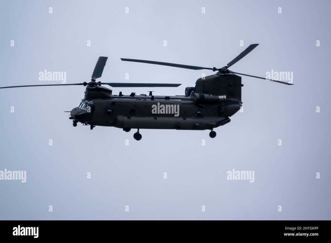 RAF Chinook tandem-rotor CH-47 helicopter flying fast and low in a ...
