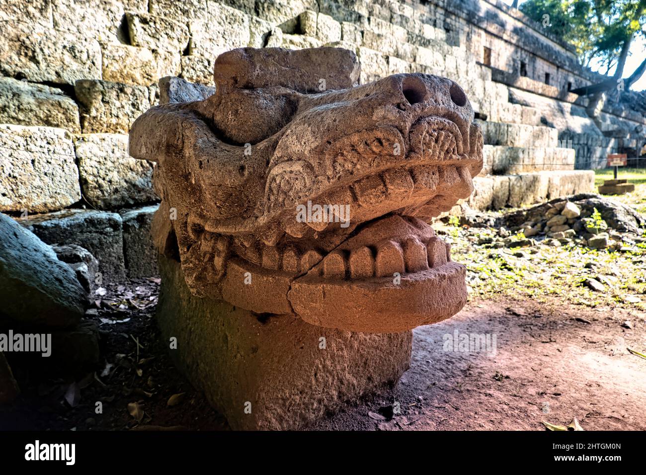 Jaguar statue, Copan Ruinas, Honduras Stock Photo - Alamy