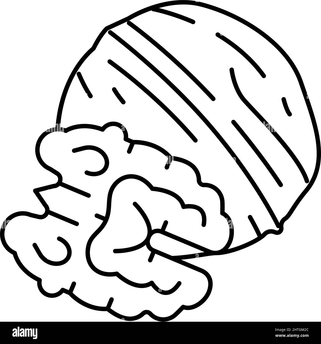 walnut nut line icon vector illustration Stock Vector Image & Art - Alamy