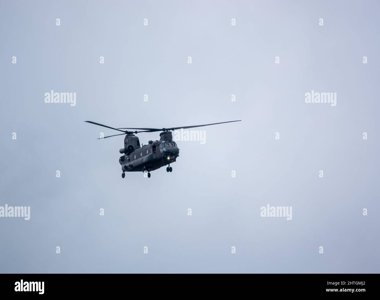 RAF Chinook tandem-rotor CH-47 helicopter flying fast and low in a ...