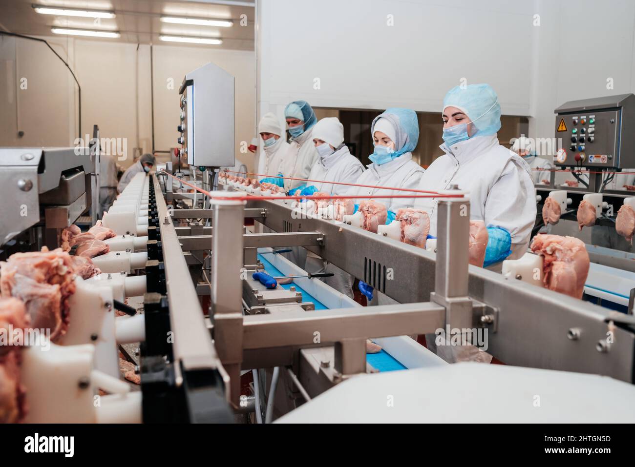 Automated production line with packaging and cutting of meat in modern ...