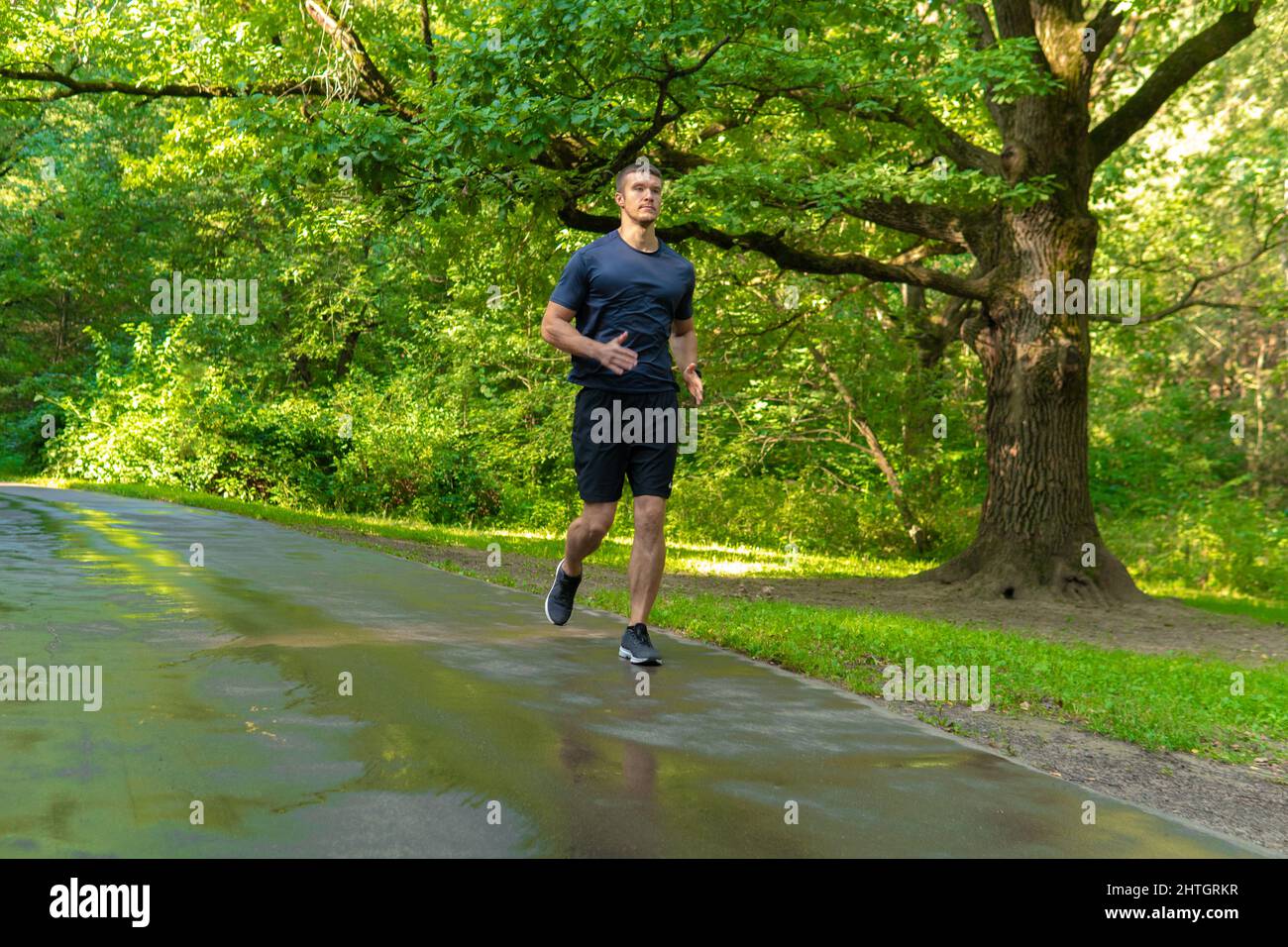 A man athlete runs in the park outdoors, around the forest, oak trees ...