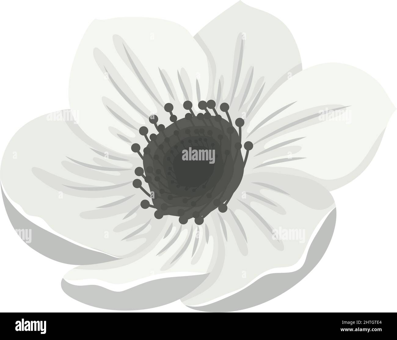 white spring flower garden icon Stock Vector Image & Art - Alamy