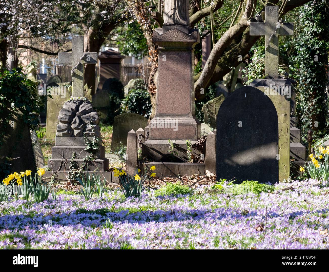 Old gravestones in the historic South Ealing Cemetery, Victorian burial ...