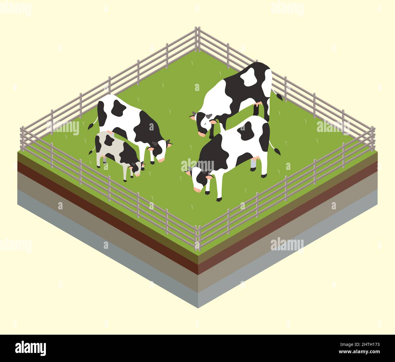 fence and cows isometric farming Stock Vector Image & Art - Alamy