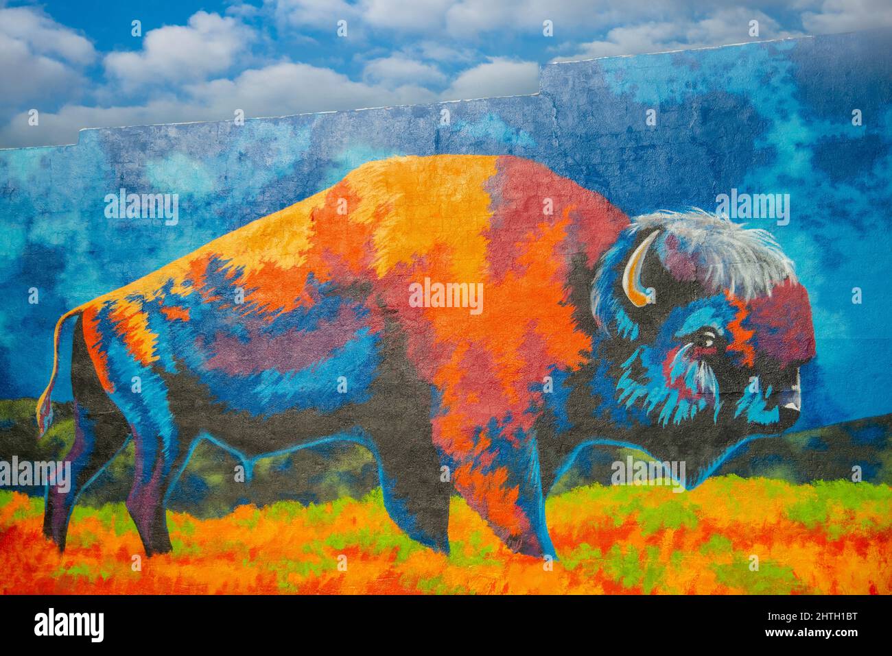 painted mural of a buffalo Stock Photo - Alamy