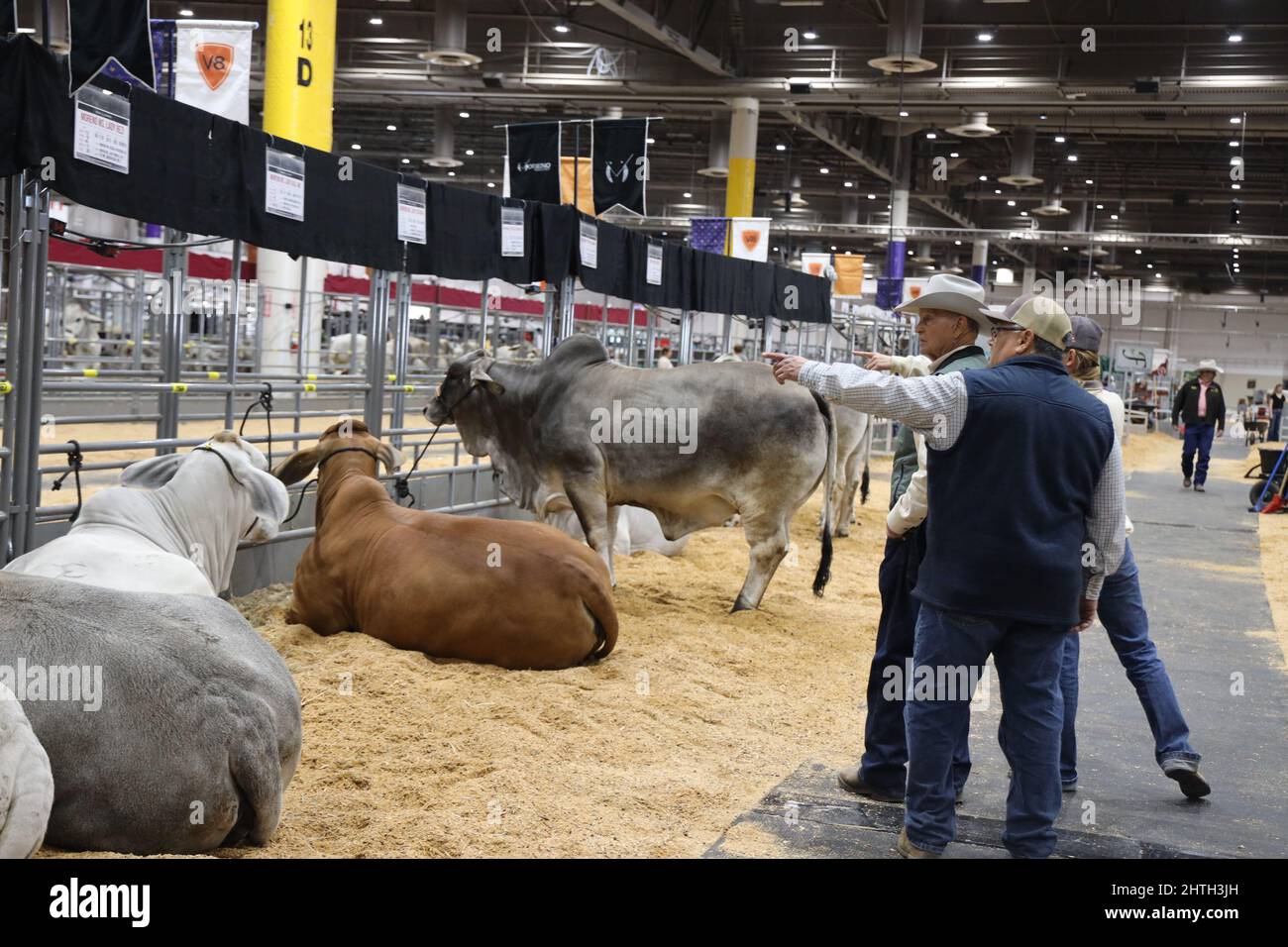 Houston livestock and rodeo 2022 hi-res stock photography and images ...