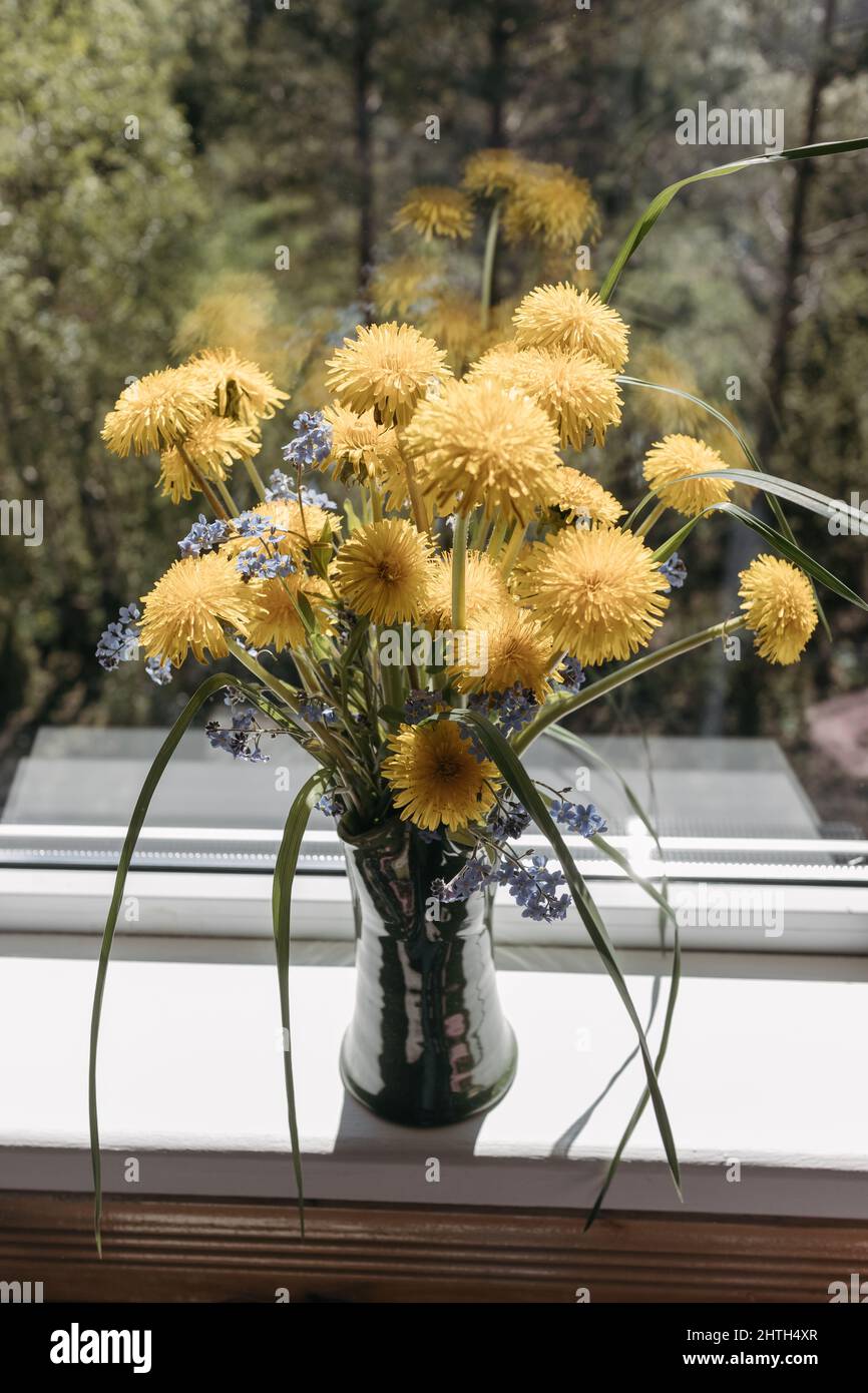 bouquet of yellow dandelions in clay vase standing on windowsill by ...