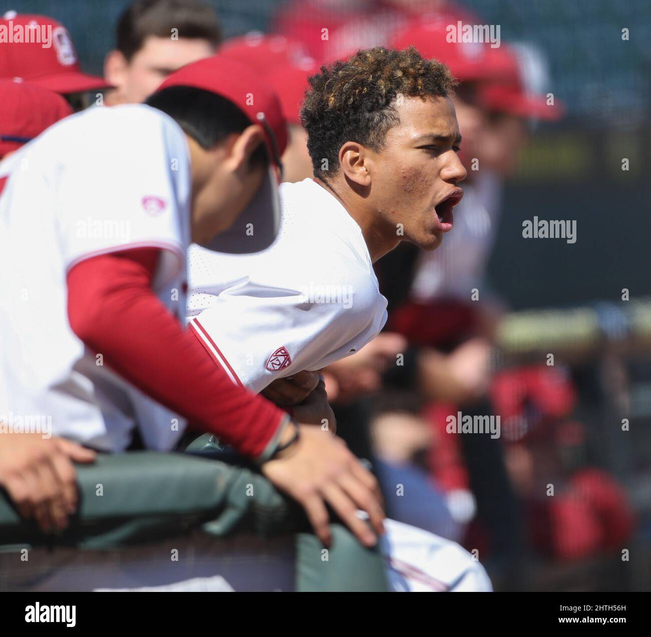 Braden montgomery hi-res stock photography and images - Alamy