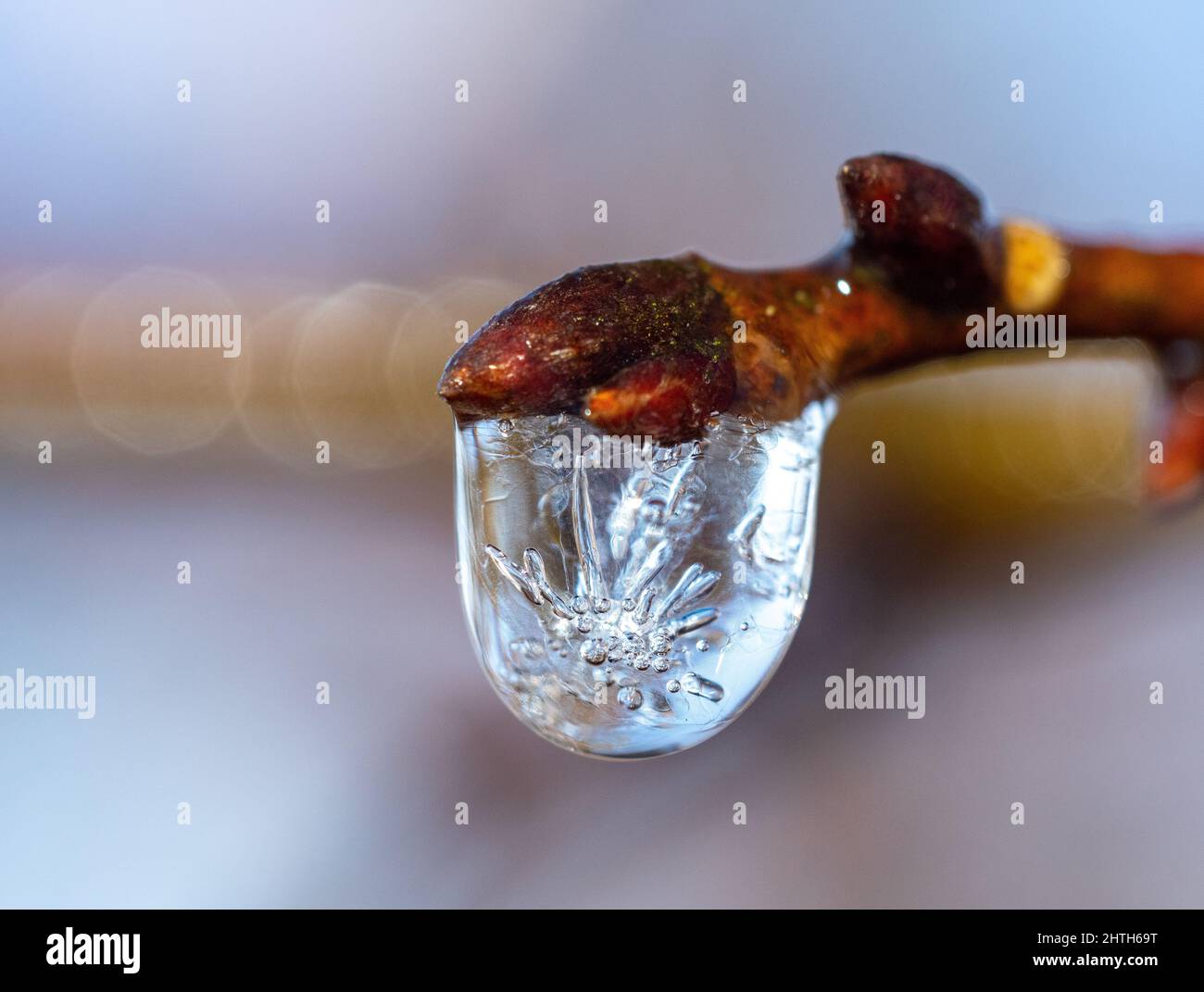 Frozen dew hi-res stock photography and images - Alamy