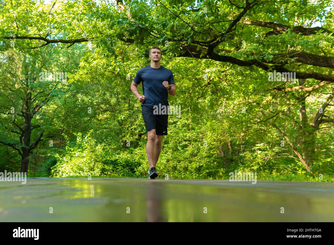 A man athlete runs in the park outdoors, around the forest, oak trees ...