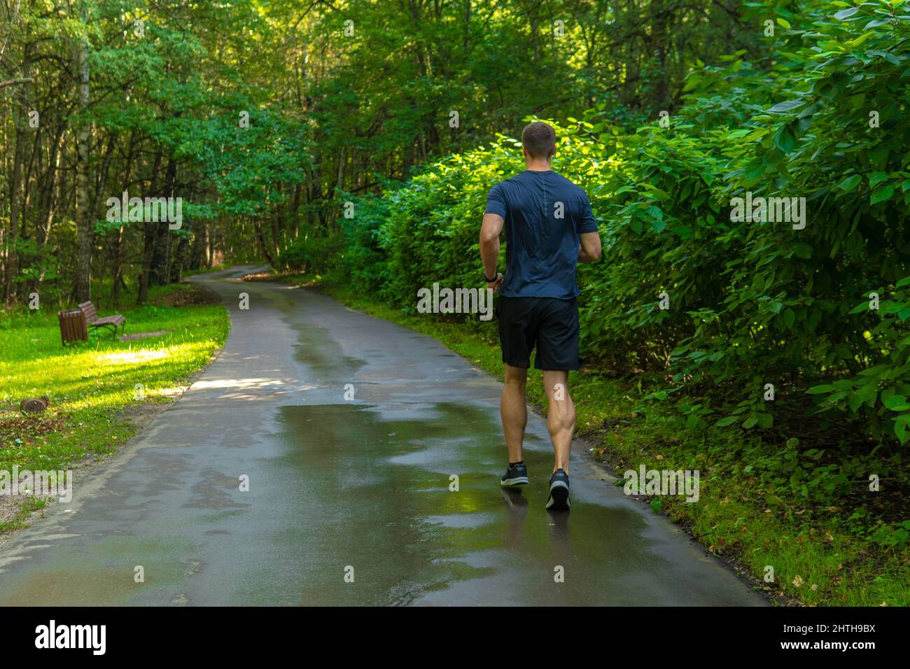 A man athlete runs in the park outdoors, around the forest, oak trees ...