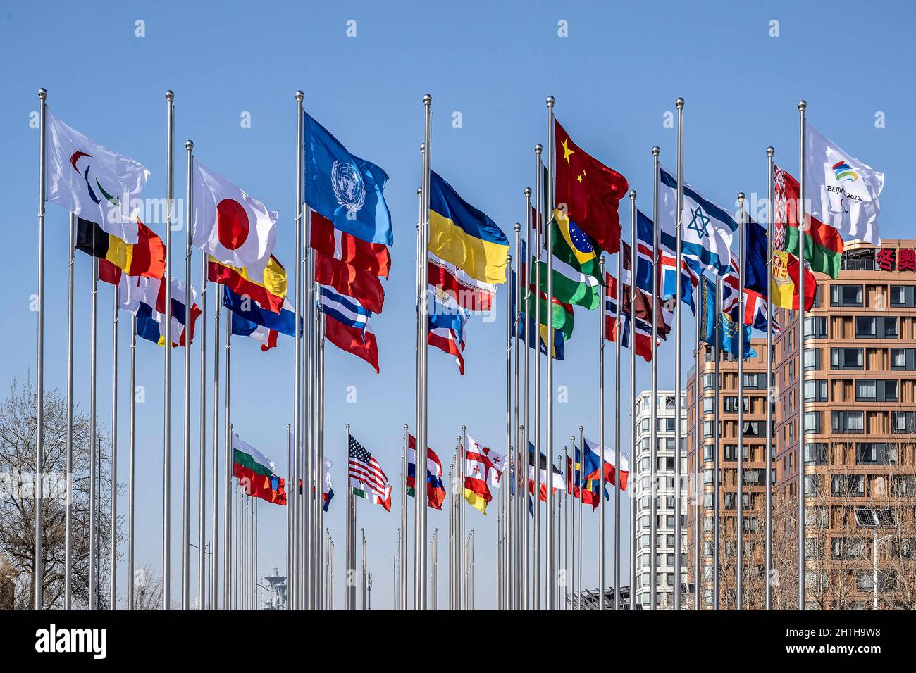 National flags fly in the athletes village hi-res stock photography and ...