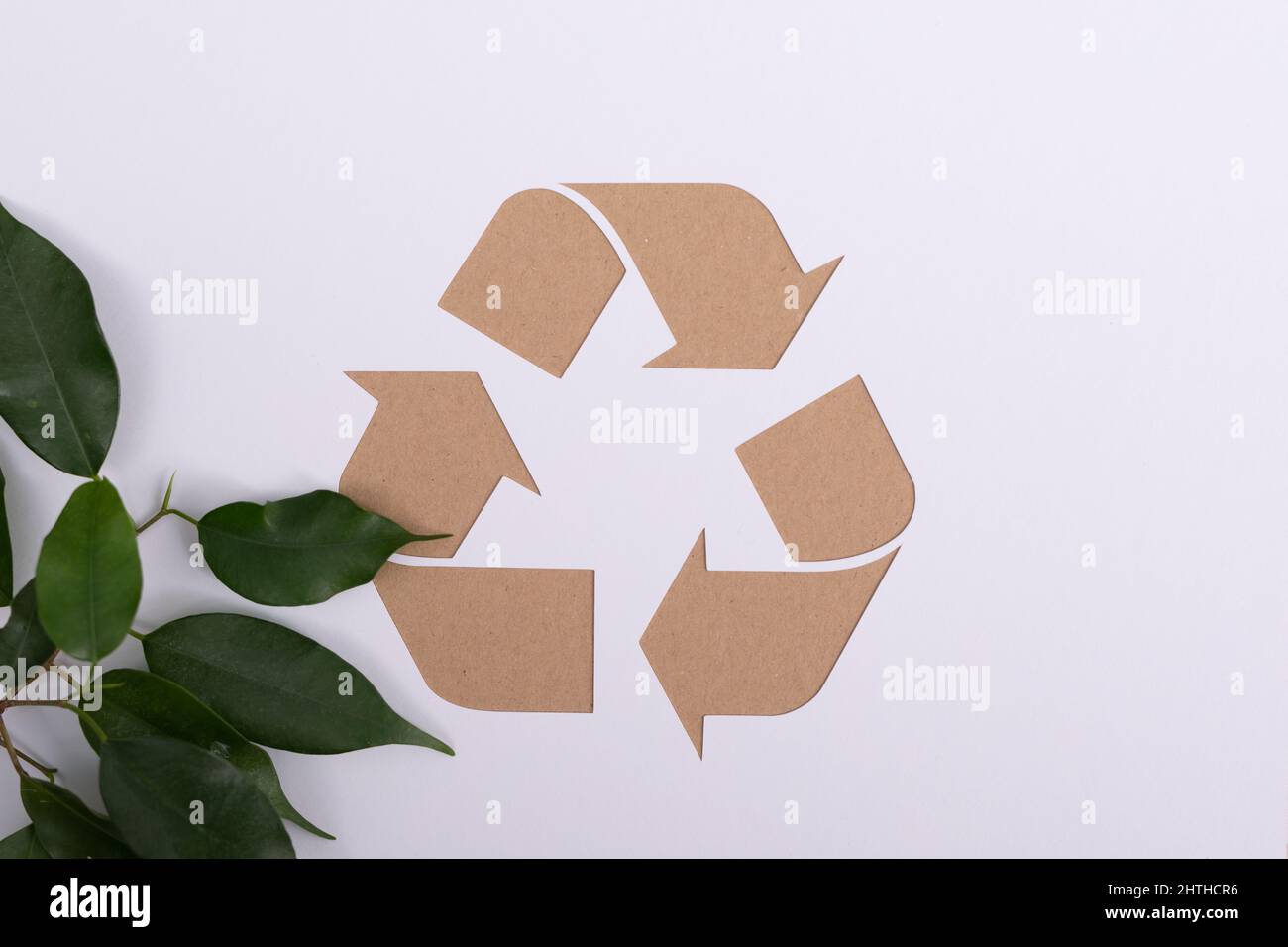 Recycling symbol and plant leaves on a white background Stock Photo - Alamy