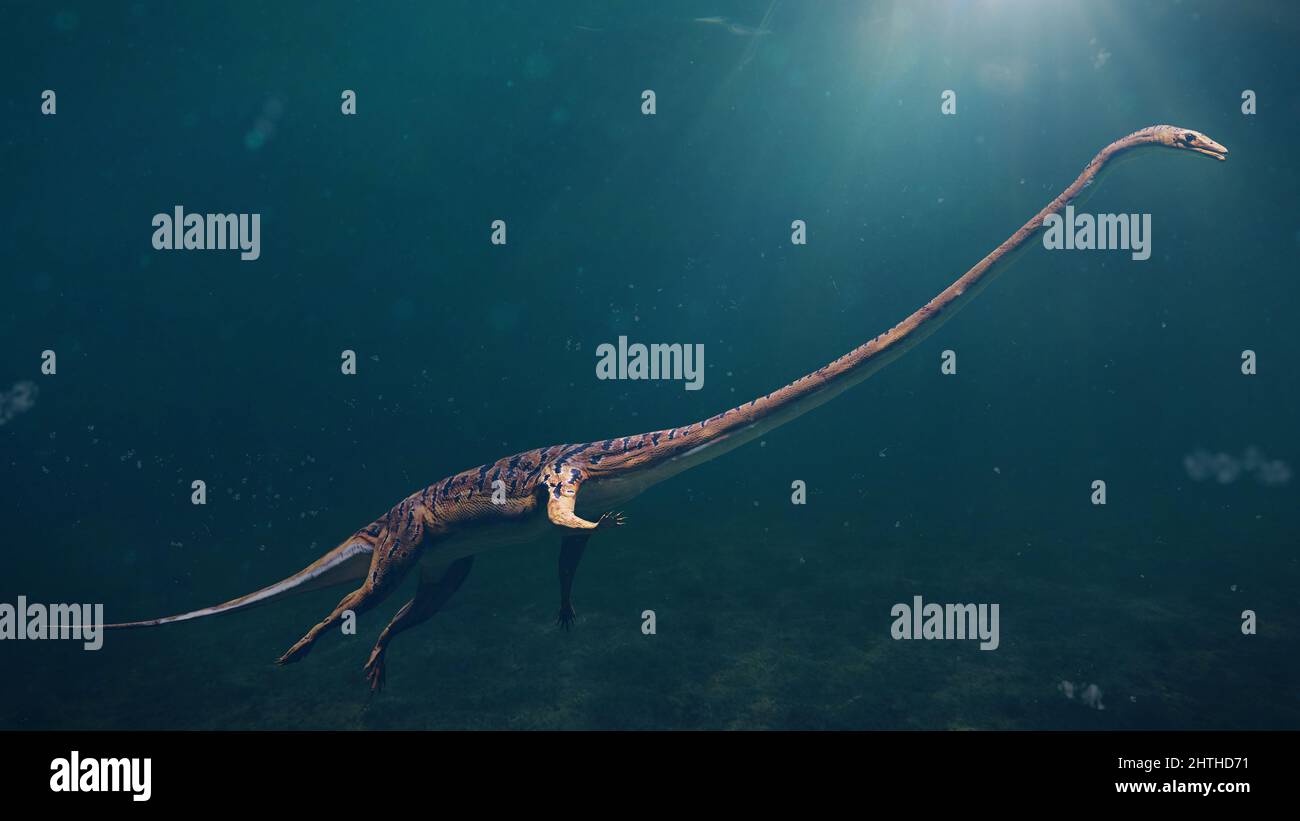 Tanystropheus, extinct reptile from the Middle to Late Triassic epochs ...