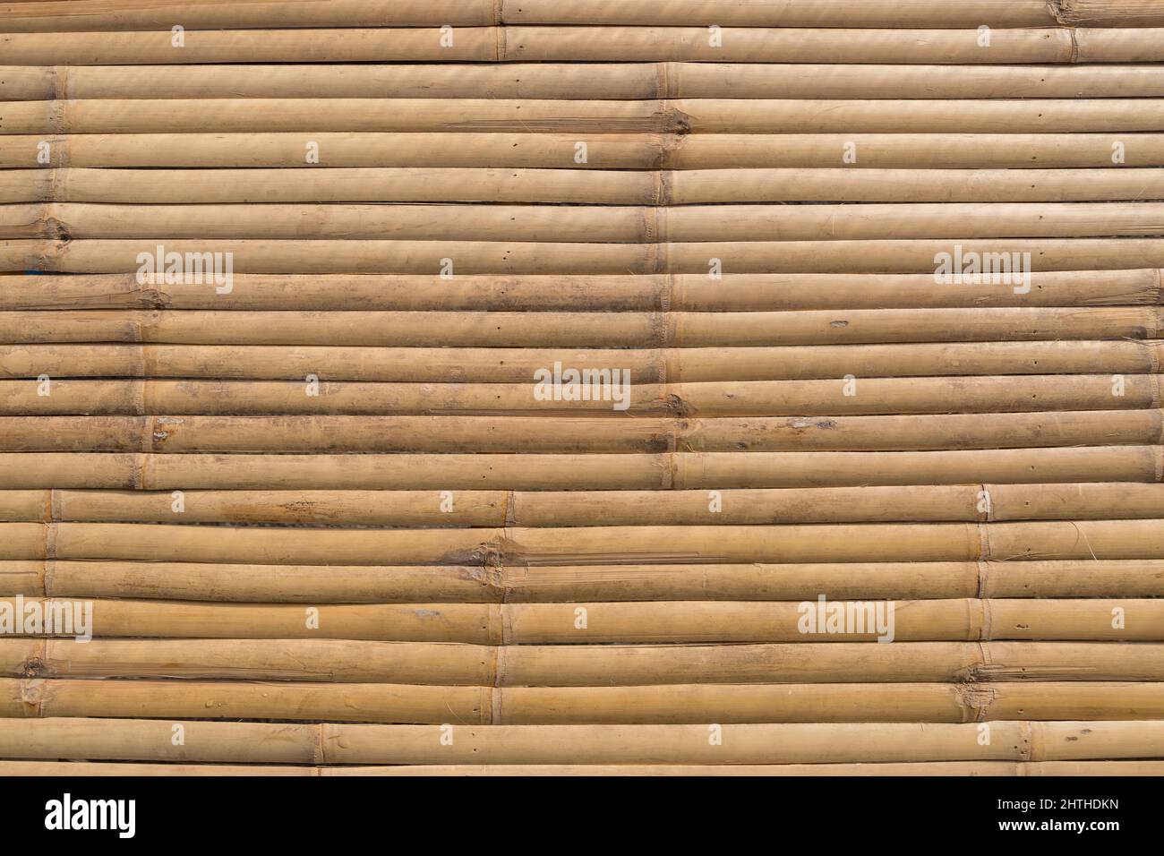 Bamboo panel texture background Stock Photo - Alamy