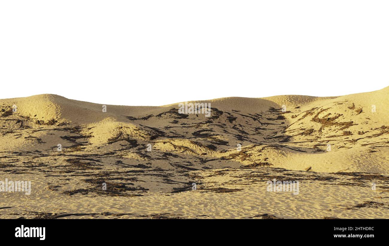 sand dunes with dry vegetation isolated on white background Stock Photo ...