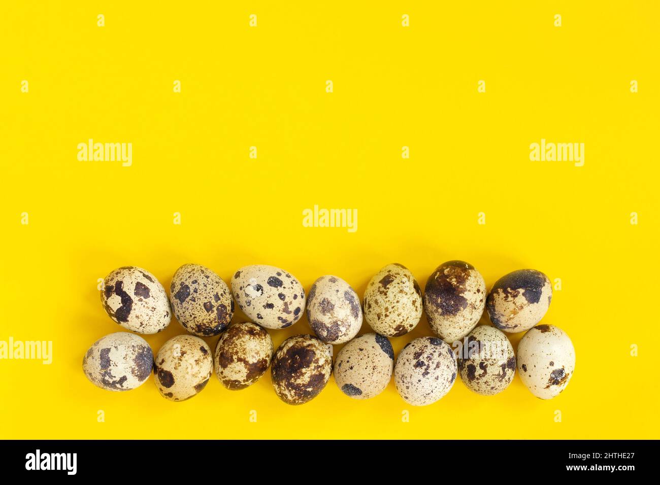 Row quail eggs on yellow paper background. Top view Copy space Stock ...