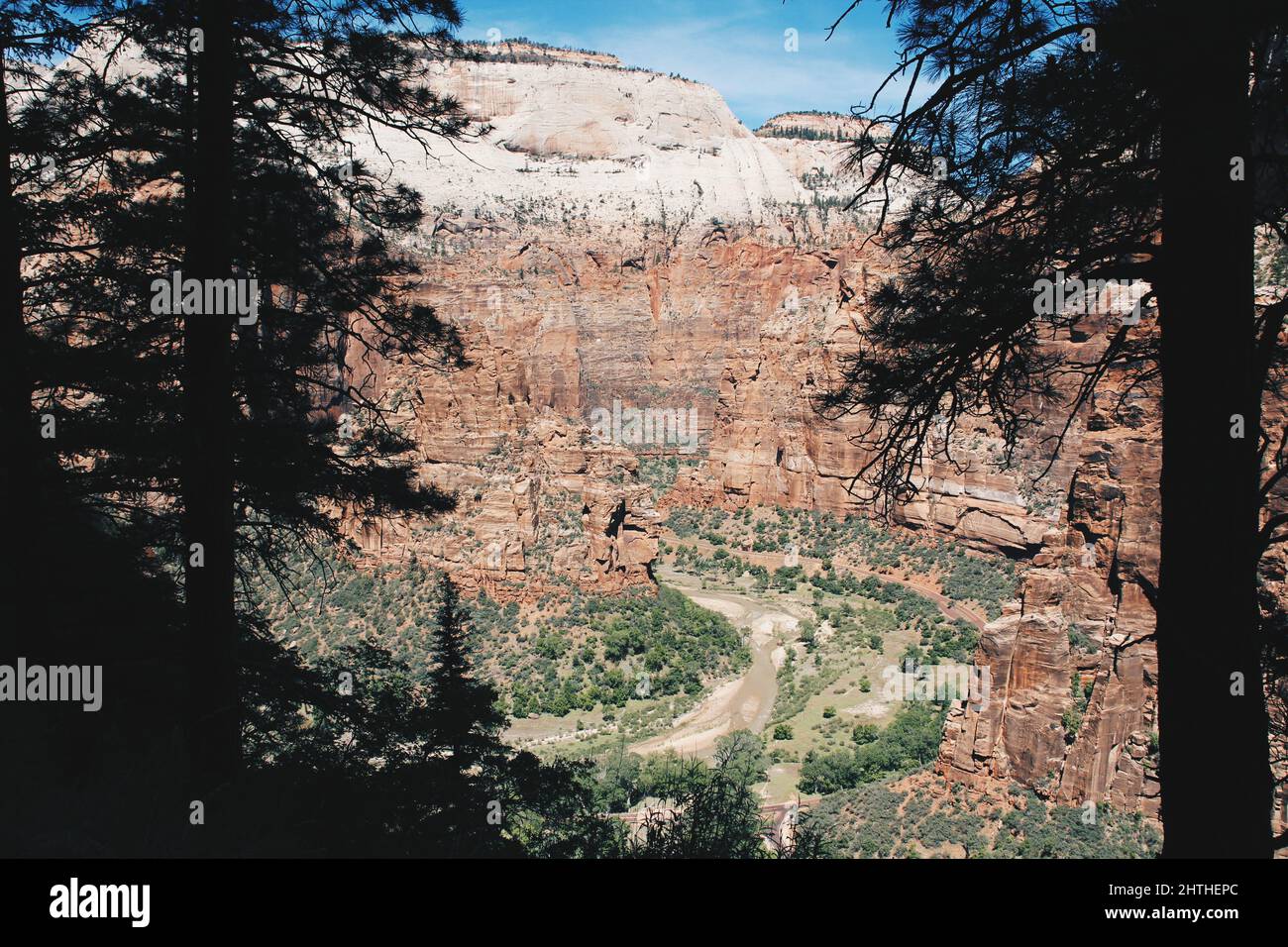 Zion National Park viewed from an observation point in Utah, USA Stock ...
