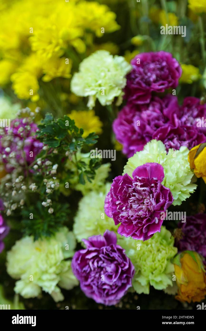 An indoor flower bouquet display Stock Photo - Alamy