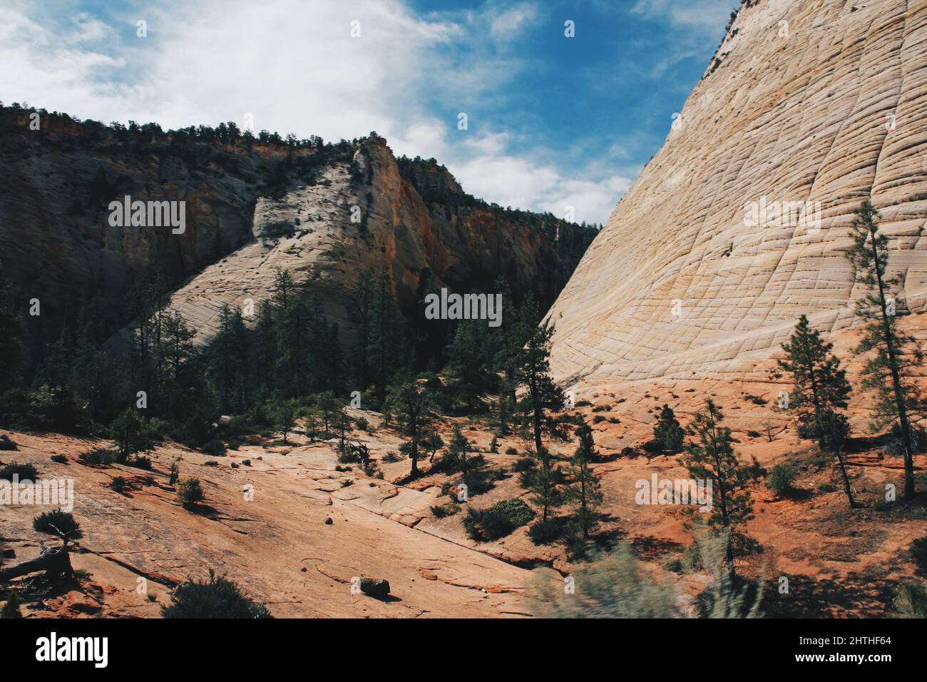 Observation point trail at the Zion National Park in Utah, USA Stock ...