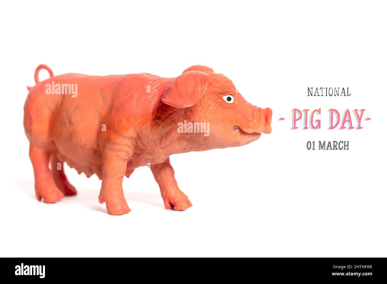 March 01, National Pig Day, celebrated annually on March 1st, is the ...