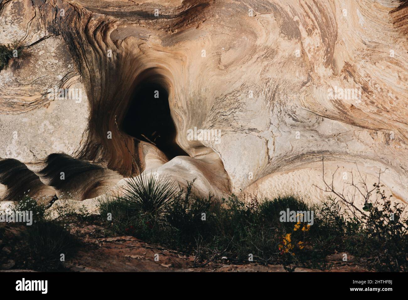 Strange rock formation at the Zion National Park in Utah, USA Stock ...