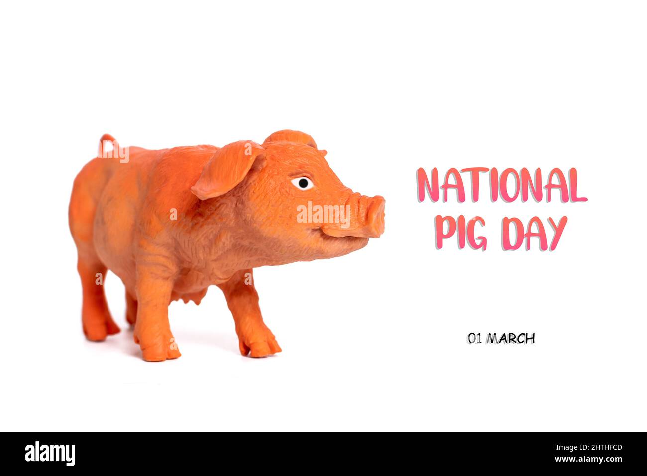 March 01, National Pig Day, celebrated annually on March 1st, is the ...