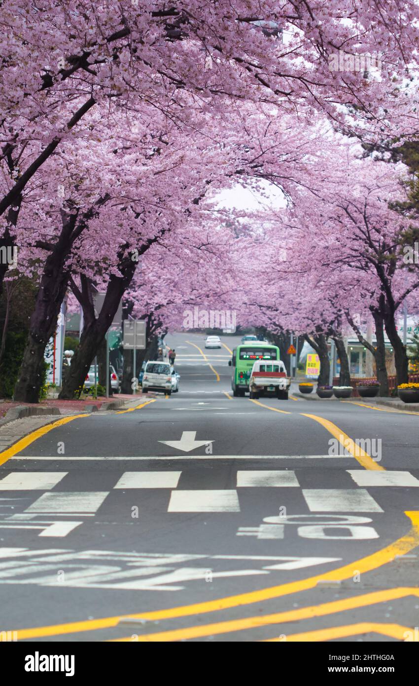 Korea car plant hi-res stock photography and images - Alamy