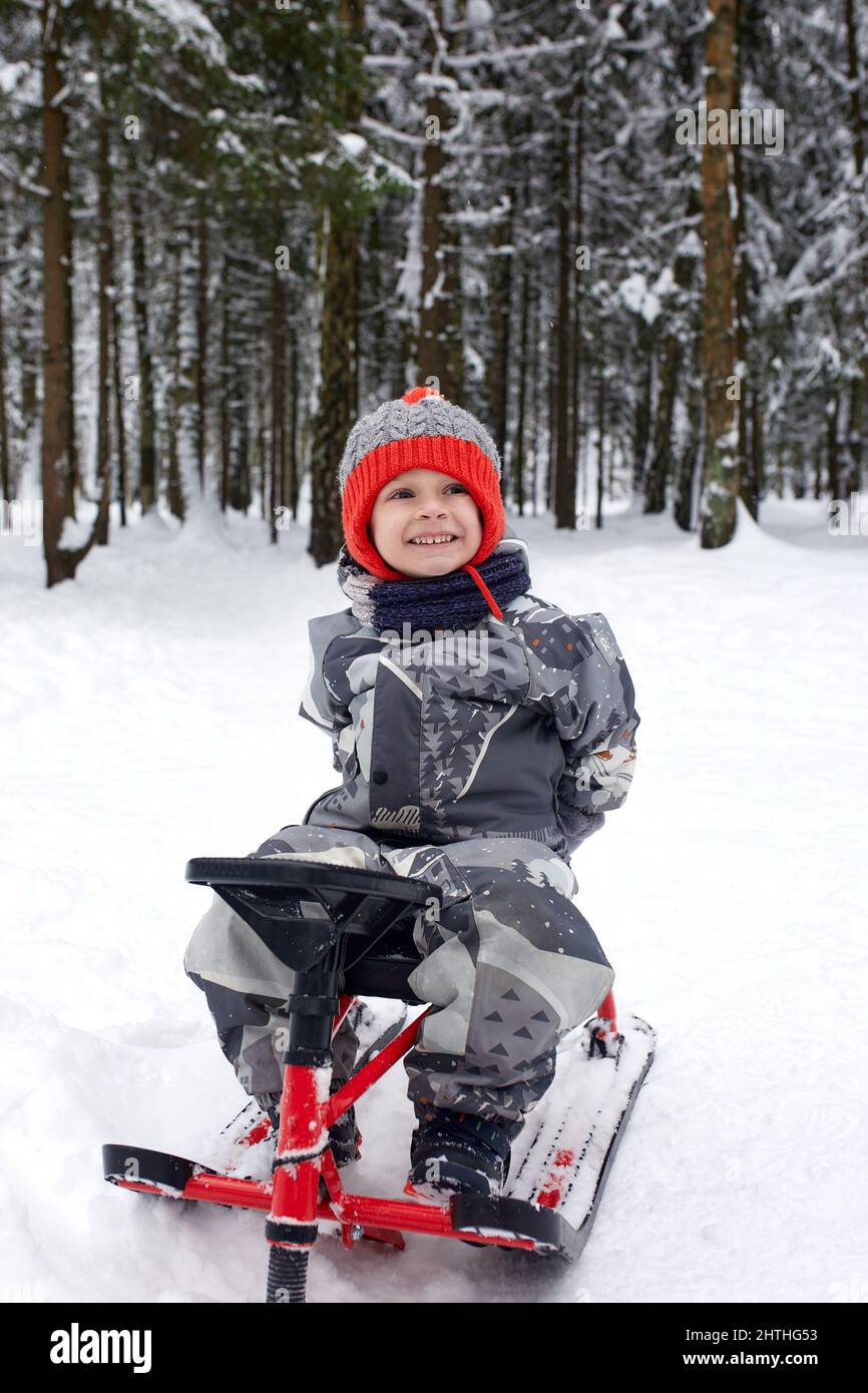 happy boy downhill on a sled in winter. a child in bright clothes sits ...