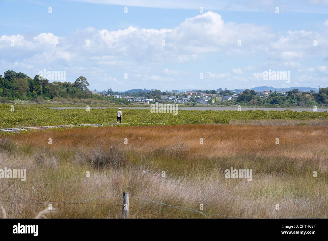 Woman in distance on walk and cycleway through Matua Salt Marsh ...