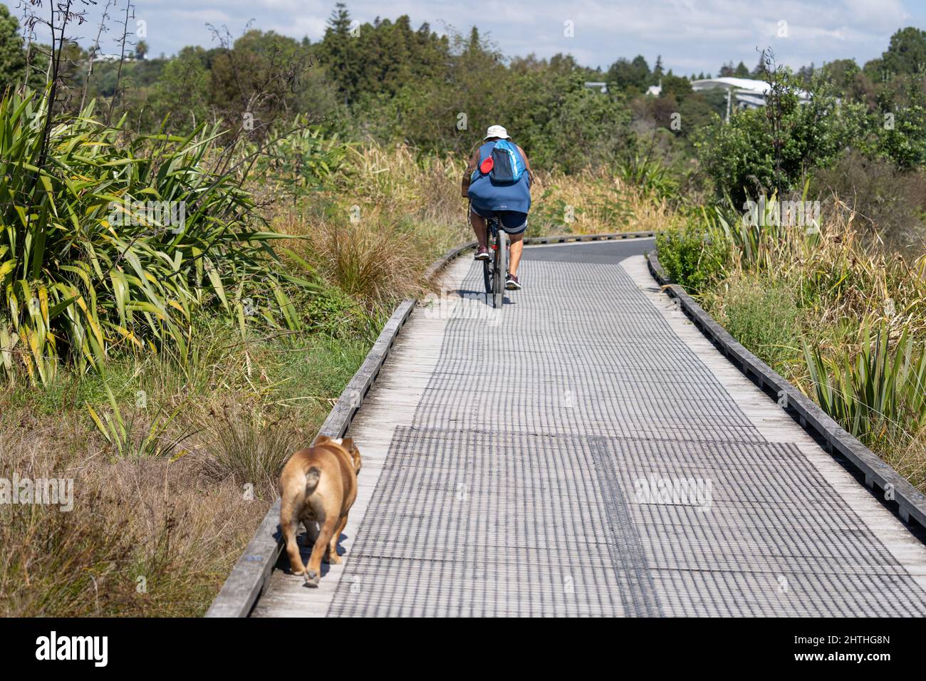 Matua salt marsh walk hi-res stock photography and images - Alamy