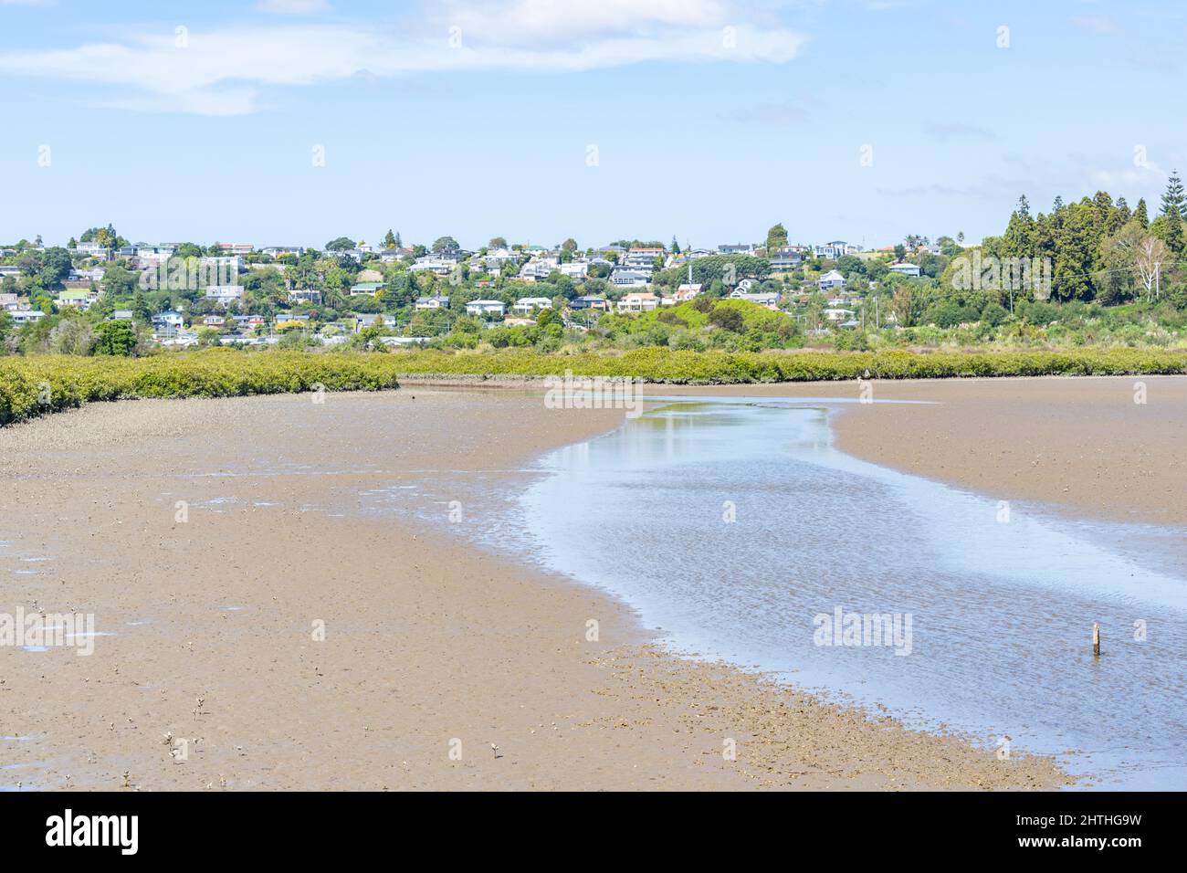 Tidal stream meandering across wetland mudflats at Matua, Tauranga New ...