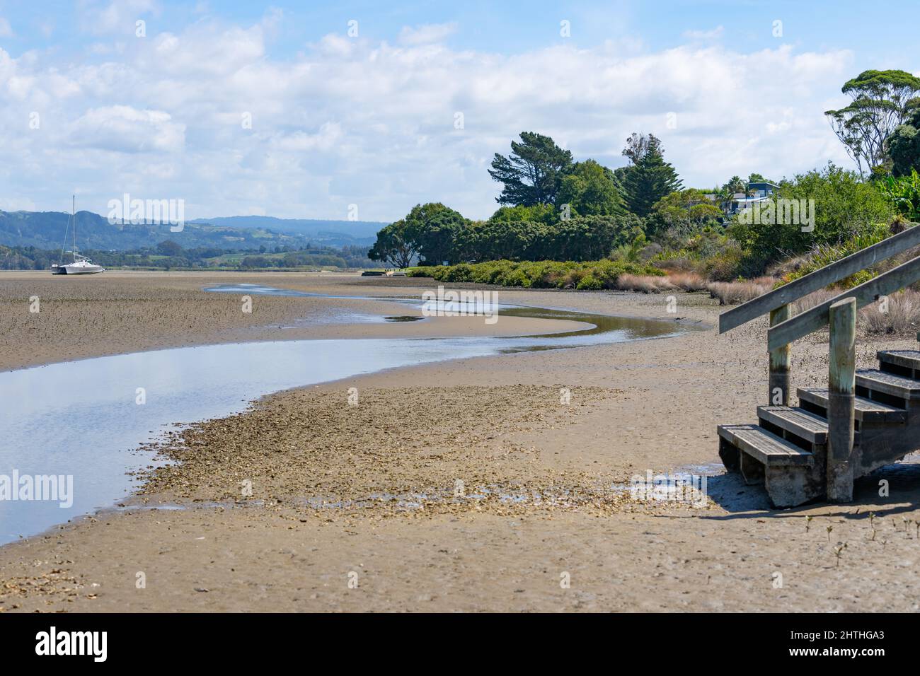 Tidal stream meandering across wetland mudflats at Matua, Tauranga New ...