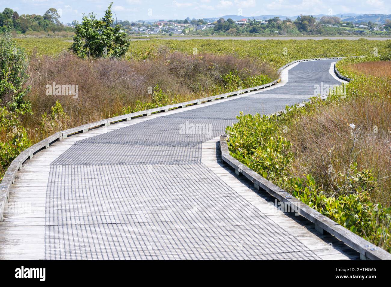 Walk and cycleway through Matua Salt Marsh Tauranga New Zealand Stock ...