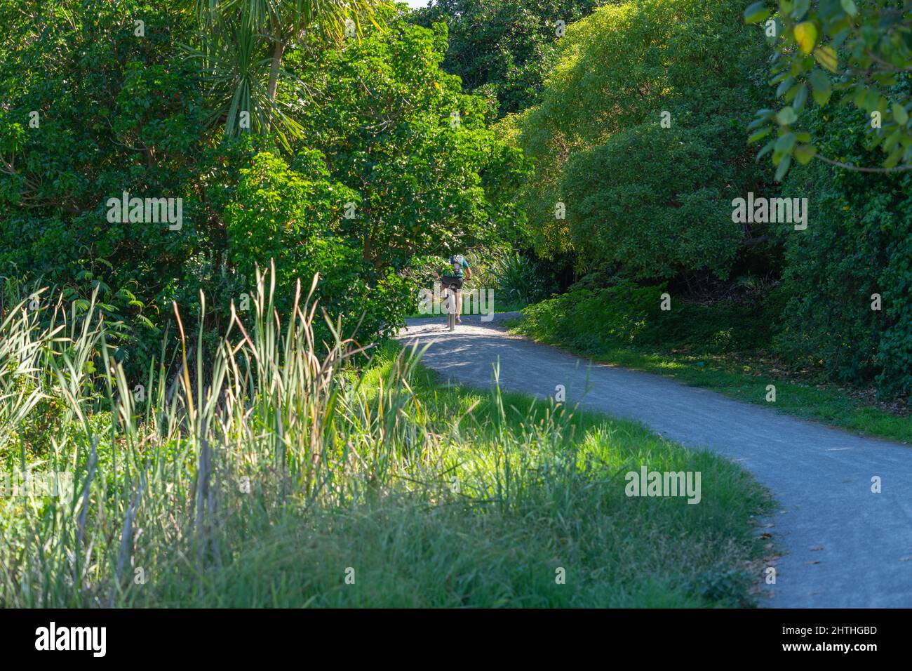 Walk and cycleway through Matua Salt Marsh Tauranga New Zealand Stock ...