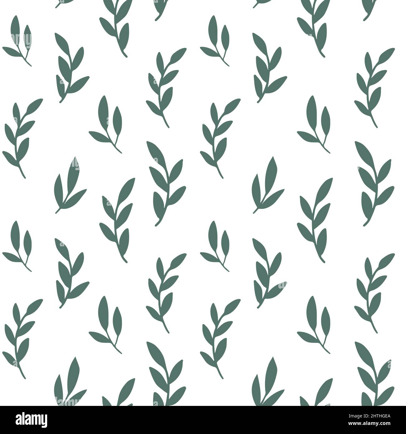 Branches with evergreen foliage and leaves vector Stock Vector Image ...