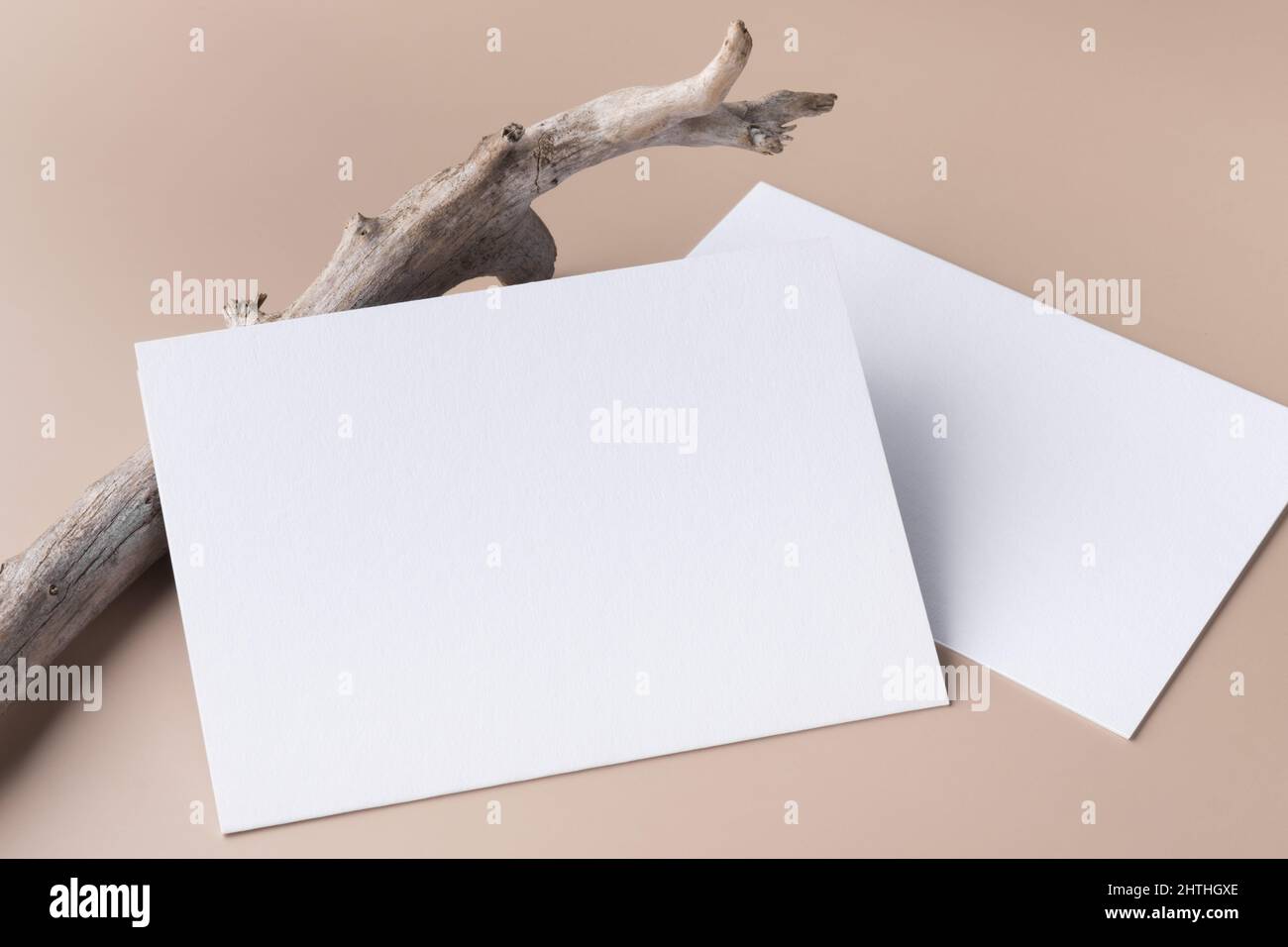 Minimal paper card mockup on beige background with branches Stock Photo ...