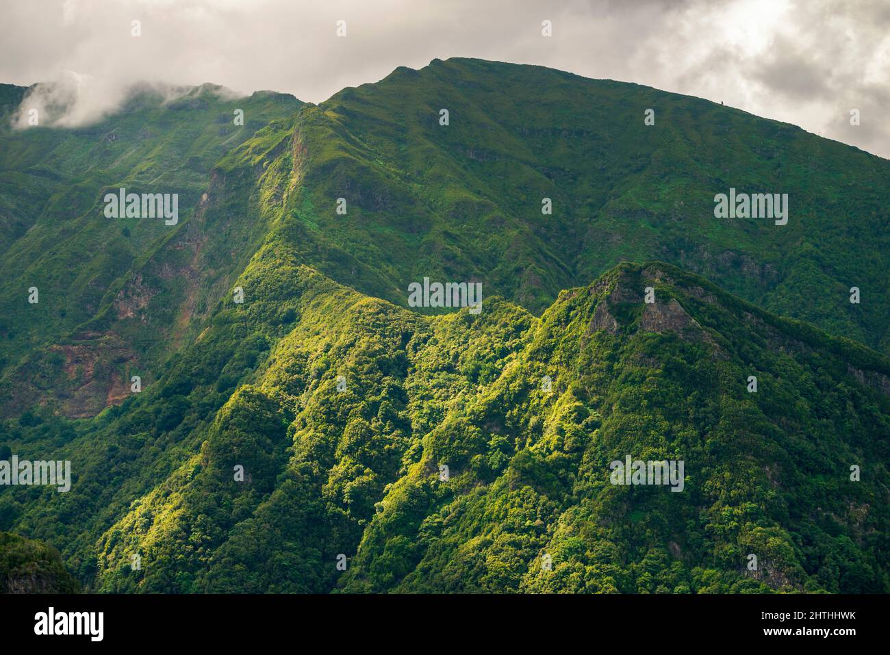 Bright green island hi-res stock photography and images - Alamy