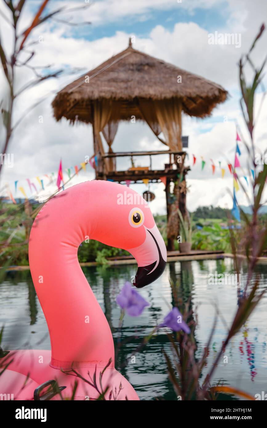 Flamingo Floating in Swimming Pool at Hotel Resort. Flamingo Float ...