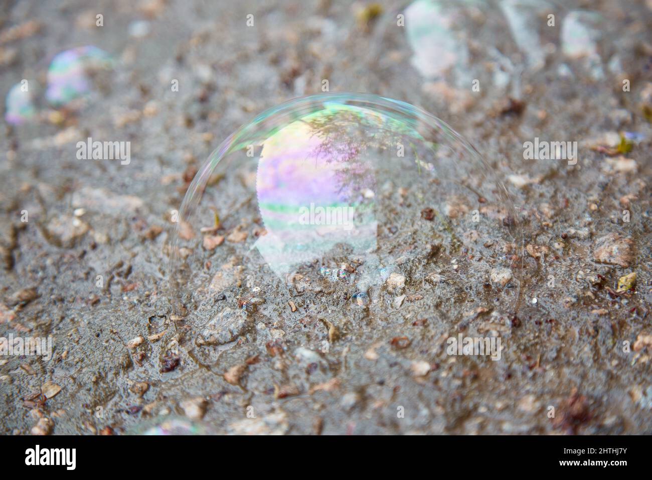 Abstract grey bubble background. Global reflection effect. Earth Day ...