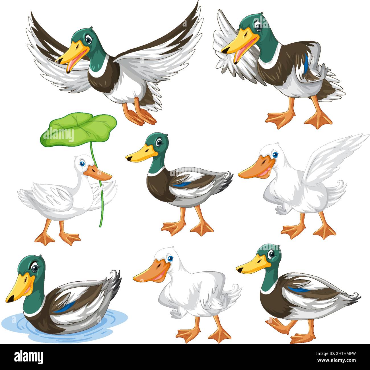 Set of different poses of ducks cartoon characters illustration Stock ...