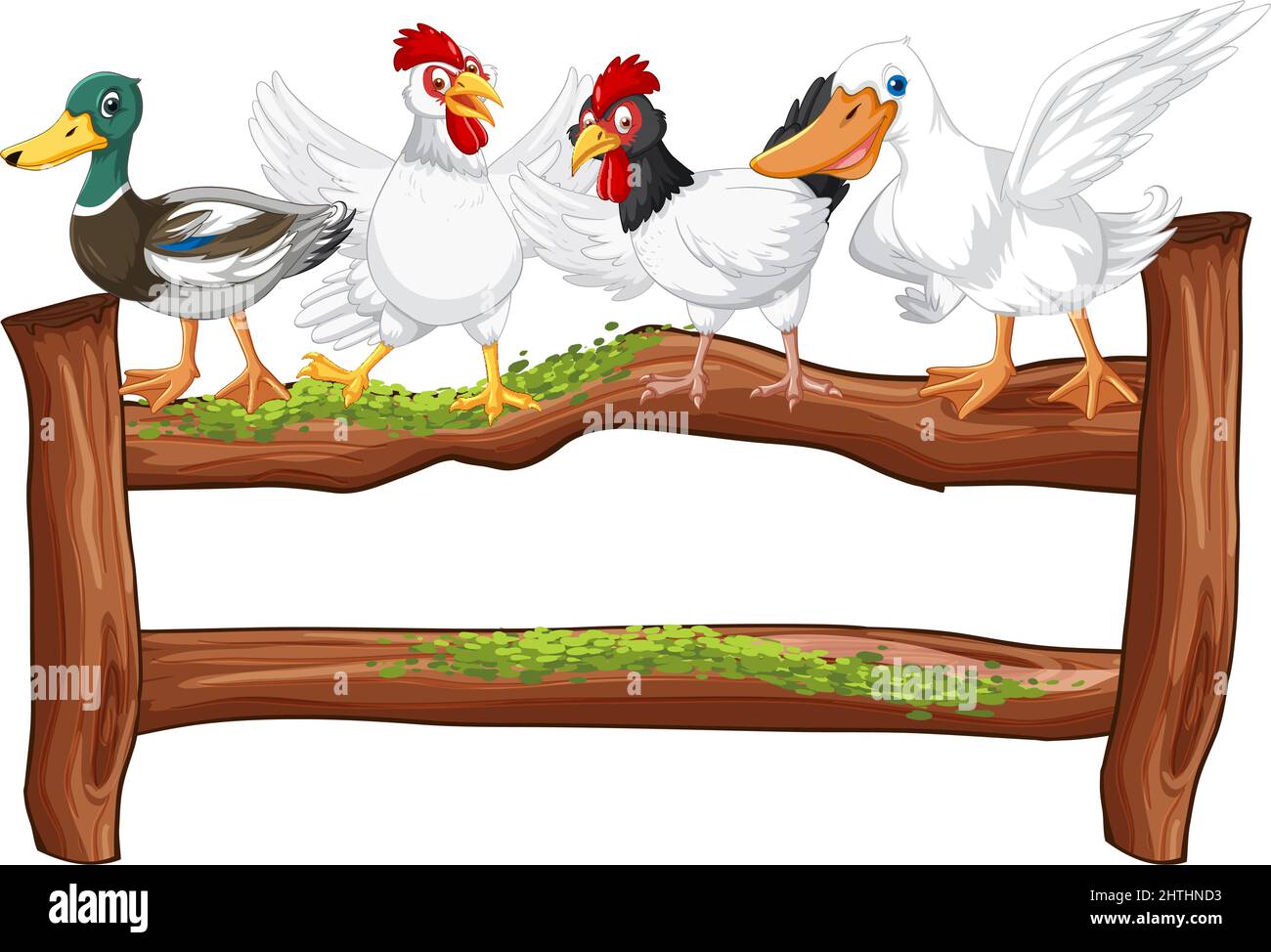 Fence with poultry on white background illustration Stock Vector Image ...