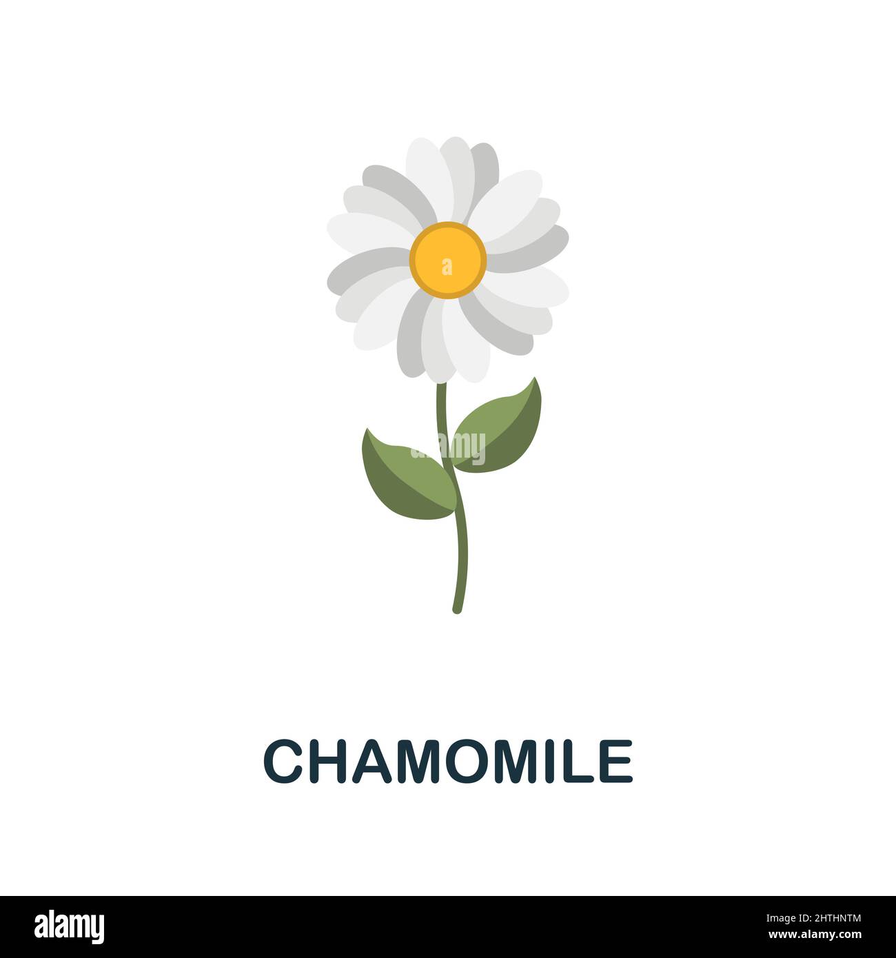 Chamomile flat icon. Colored element sign from flowers collection. Flat ...