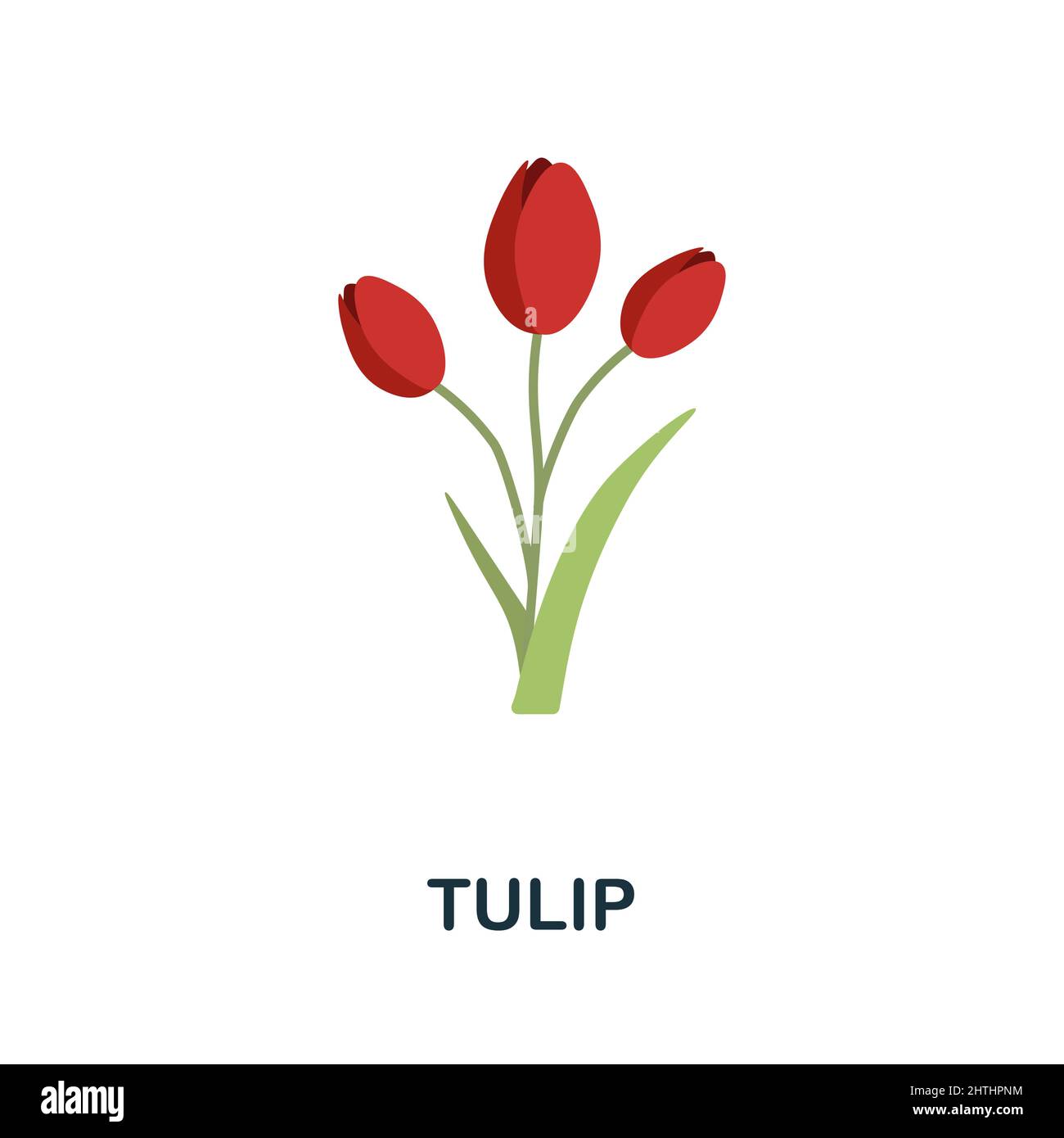 Tulip flat icon. Colored element sign from flowers collection. Flat ...