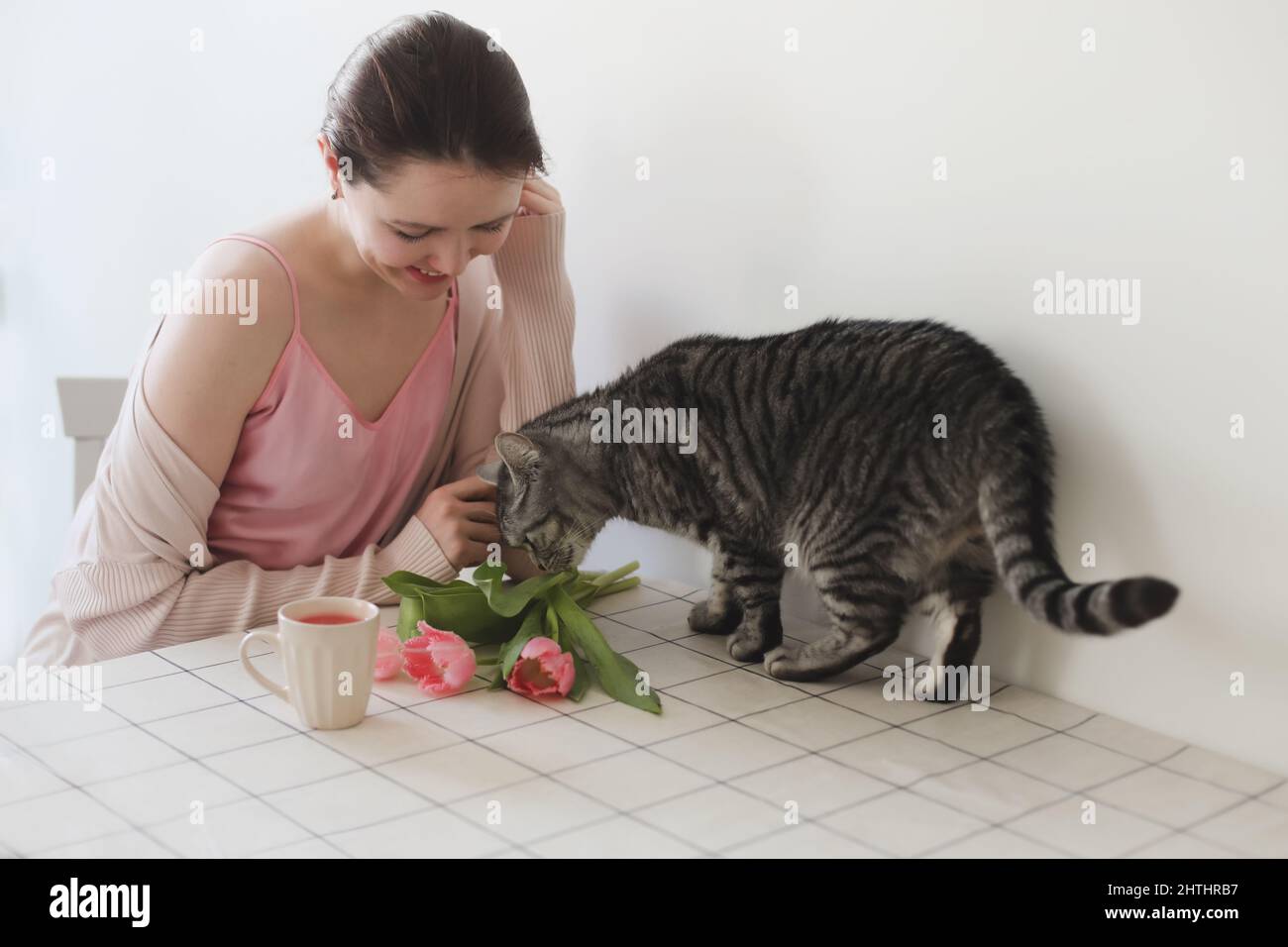 Smelling cat home hi-res stock photography and images - Alamy