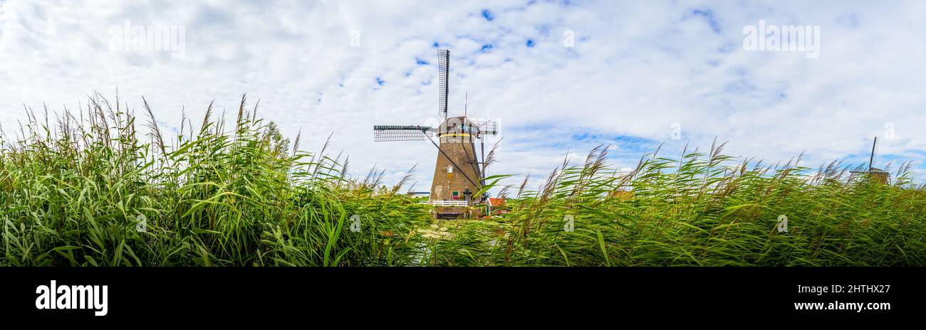 Colorful spring landscape panorama in Netherlands, Europe. Famous ...