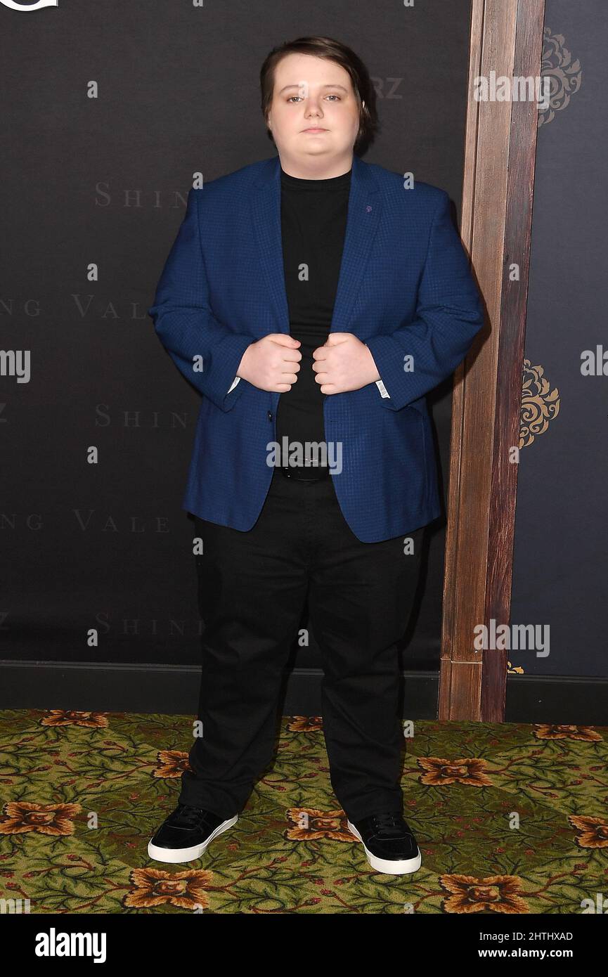 Dylan Gage at the Los Angeles Premiere of STARZ "Shining Vale" on ...